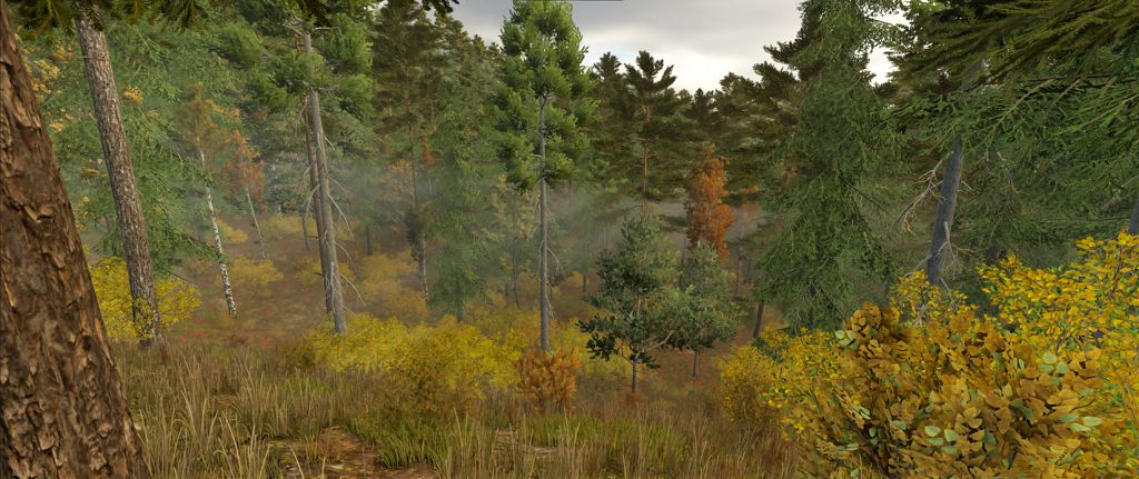 Evergreen Coast - Farming Simulator 25 Mod