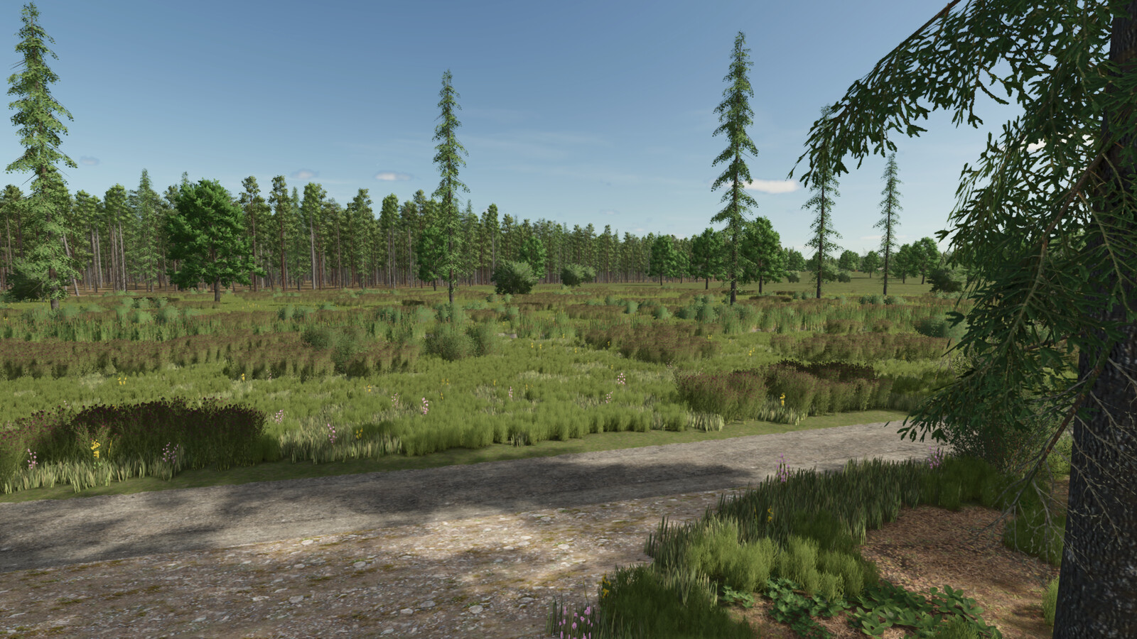Sunshine Forest - Farming Simulator 25 Mod