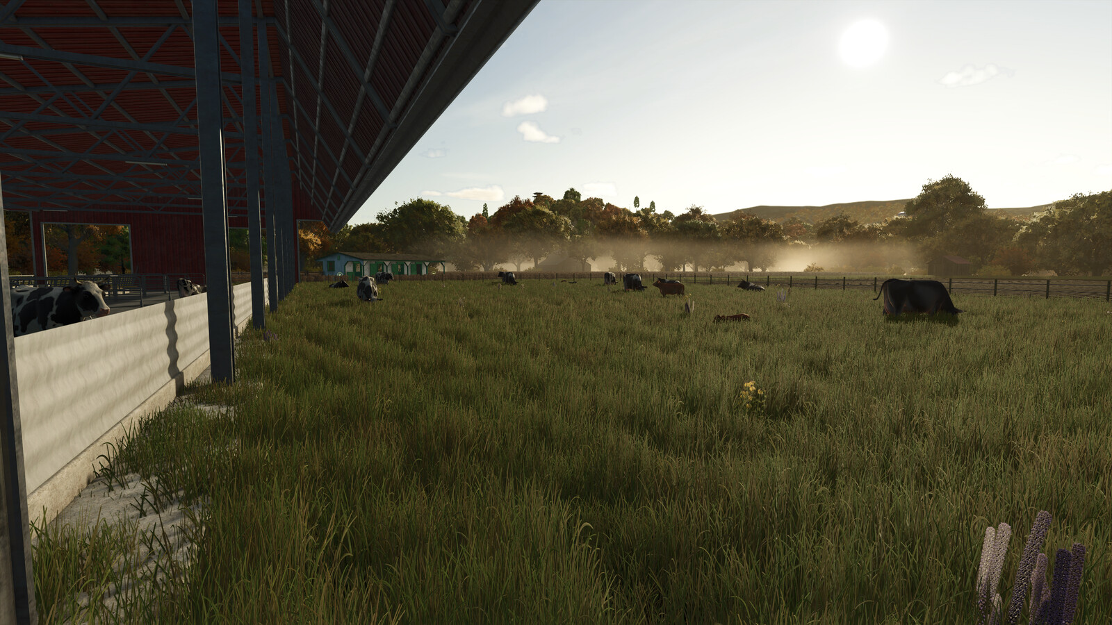 Realistic Livestock - Farming Simulator 25 Mod